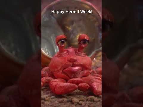 Crabby Hermit wants to be ALONE! | Wee Sing