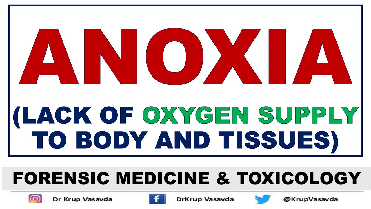 Understanding Anoxia: A Comprehensive Overview - YouTube