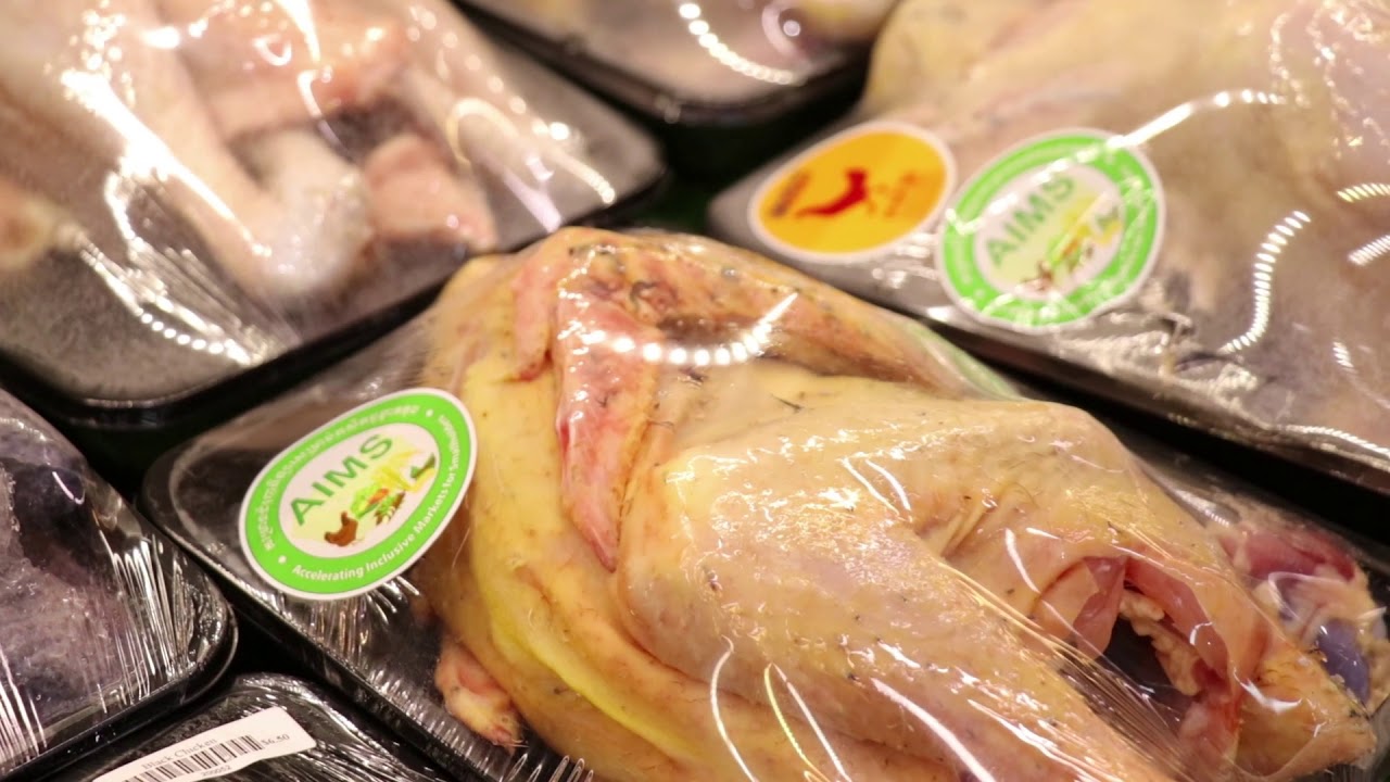 Backyard Chicken commodity and its good practices, Siem Reap - YouTube