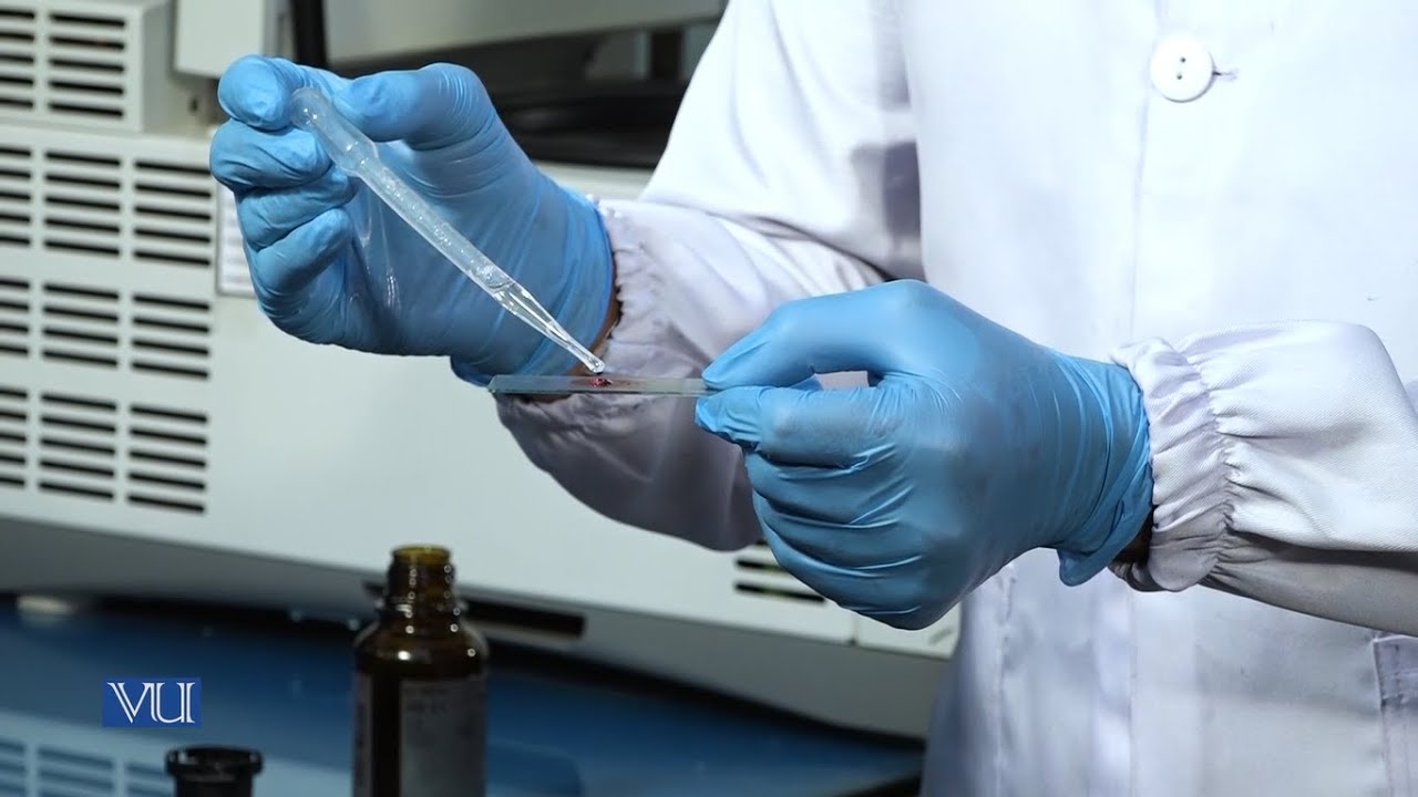 Bacterial Staining Techniques Gram Staining | Cell and Molecular ...