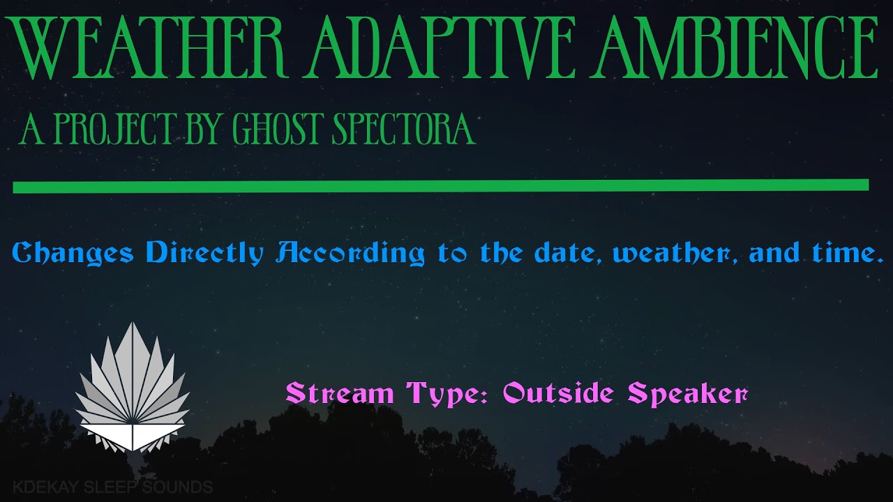 A Calm Forest Walk At Night In Summer | Adaptive Ambience (Outside ...