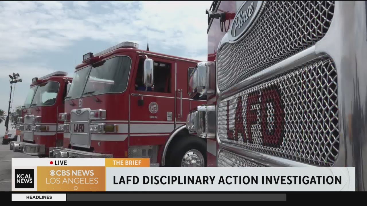The Brief: LAFD disciplinary action investigation - YouTube