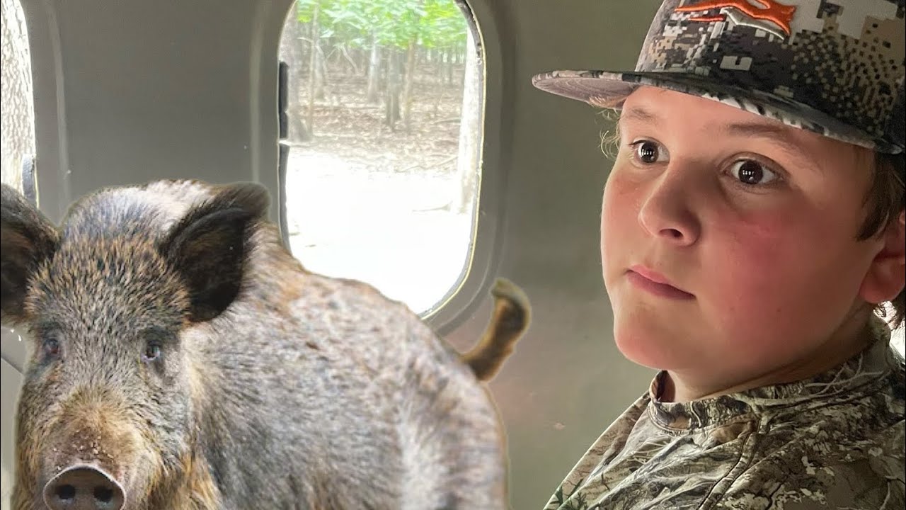 Hog Hunt at Shiloh Ranch. Is he down!!?? - YouTube
