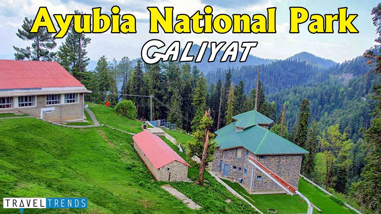 Ayubia National Park | Ayubia Top | Muree Pakistan - YouTube