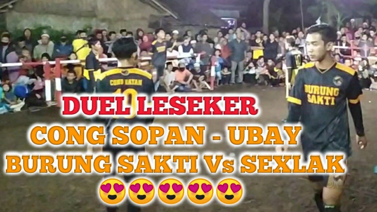 Burung sakti Vs seklak - leseker albiy - sodor albiy - sodor Kiky ...