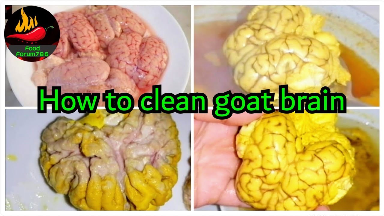 How To Clean Goat Brain | Brain Cleaning | How To Remove Veins and ...