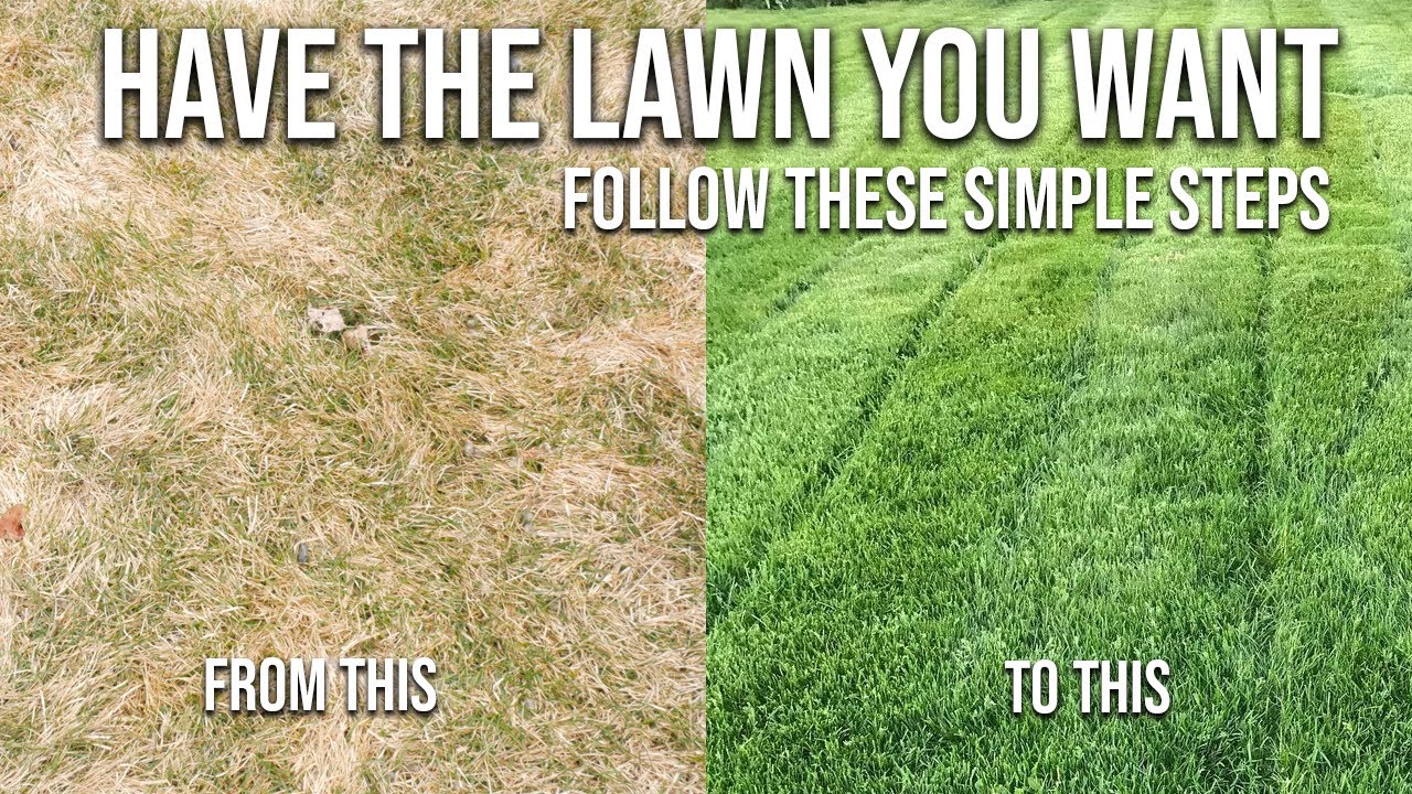 Spring Lawn Care Steps How To Have THE BEST Looking Lawn In The spring-lawn-care-steps-how-to-have-the-best-looking-lawn-in-the