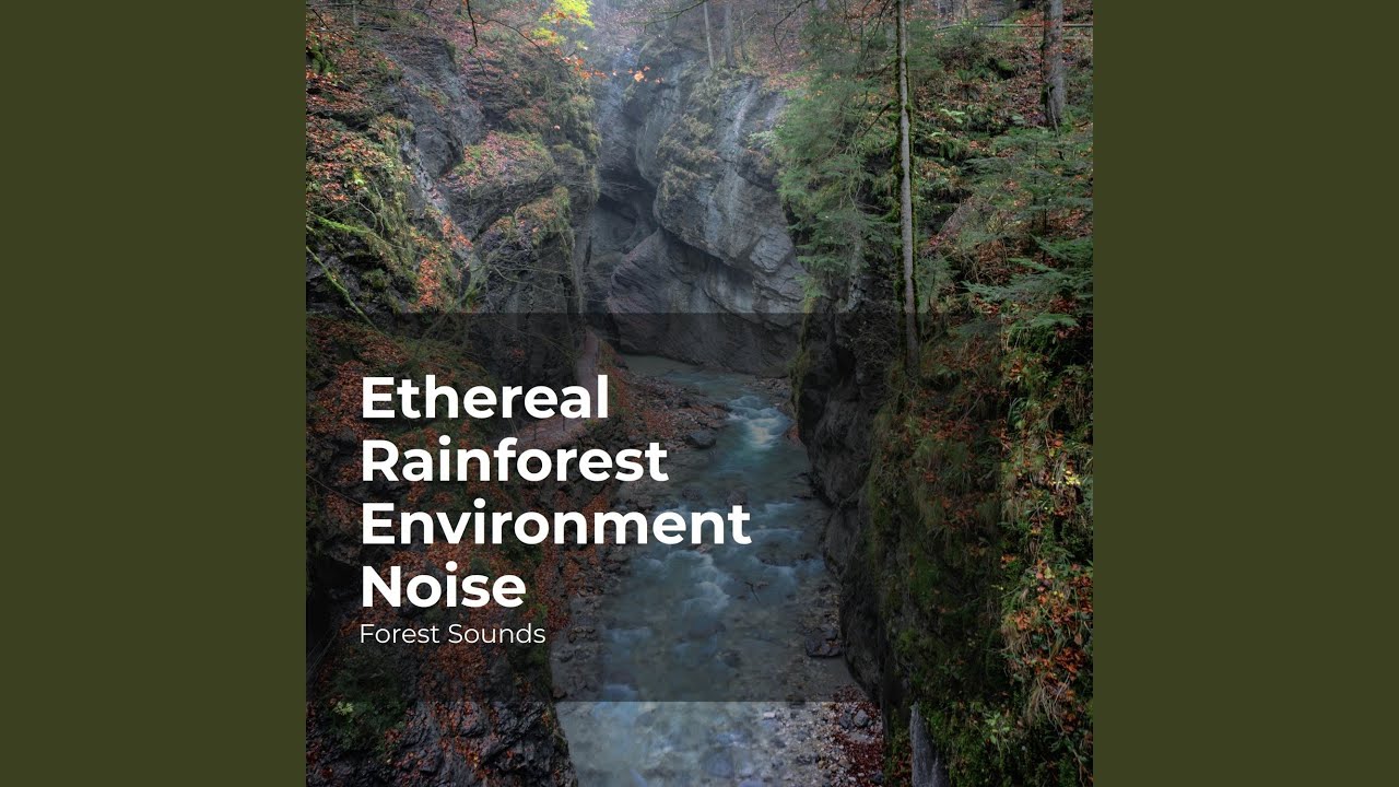 Rippling Stream Flow - YouTube