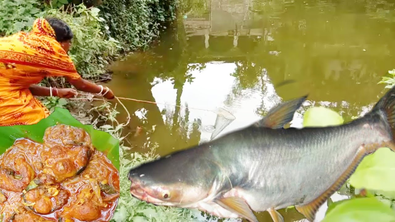 7 kg big size fish catch and cook deliciously || fish curry recipe ...