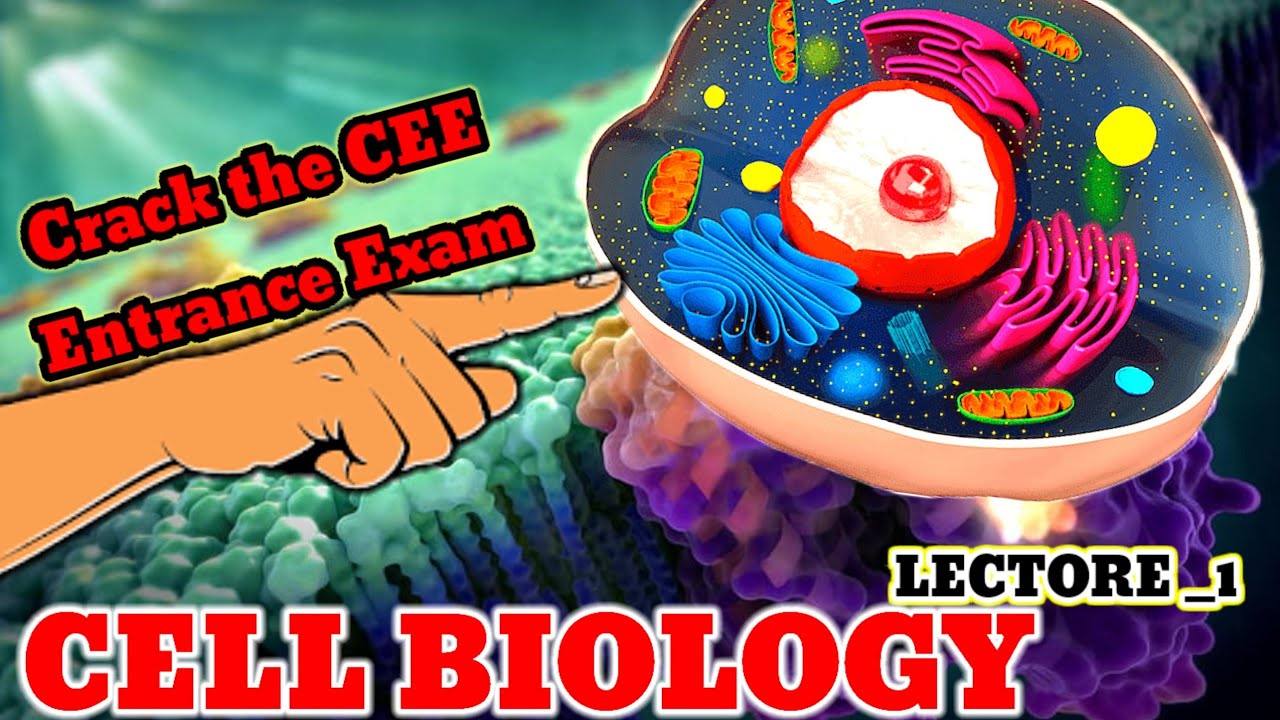 Cell Biology L_1 Mastering the Basics for CEE Entrance Exam Success ...