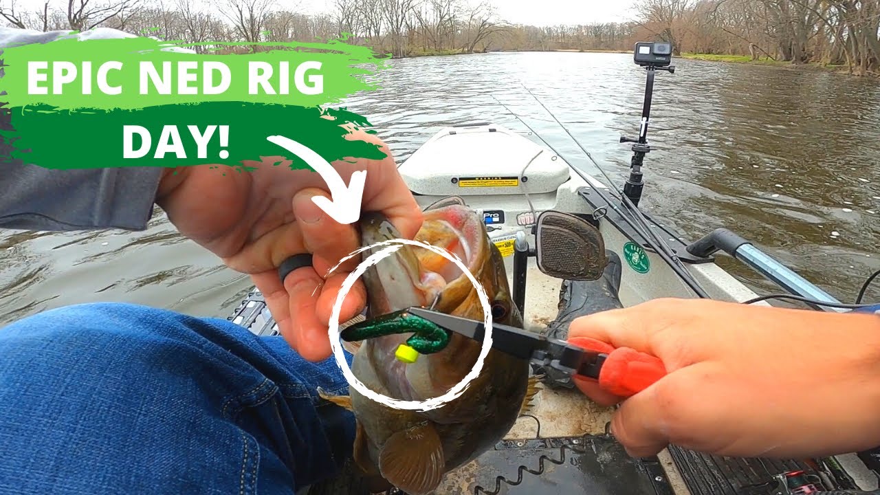 Googan Baits Rattlin Ned Rig Was Smallmouth Bass Candy! - YouTube