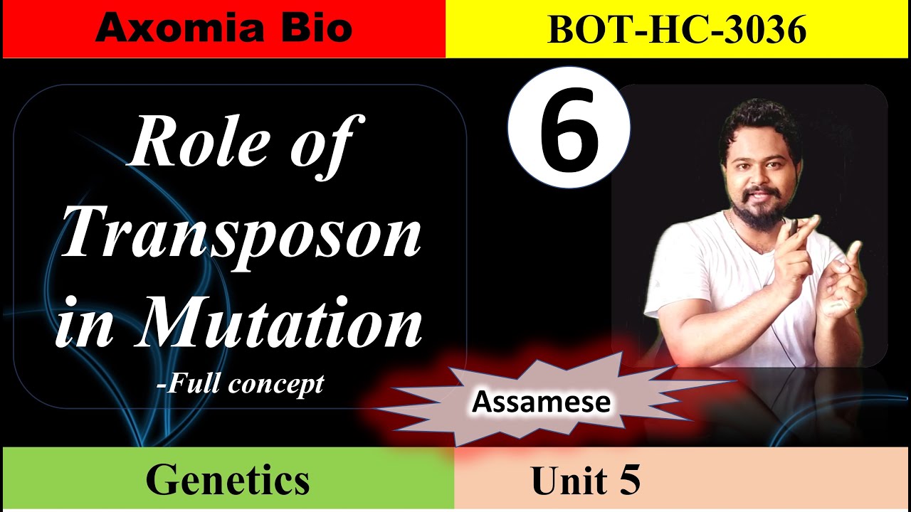 Role of transposon in mutation| Full clear| L6| Genetics| GU | Dr ...