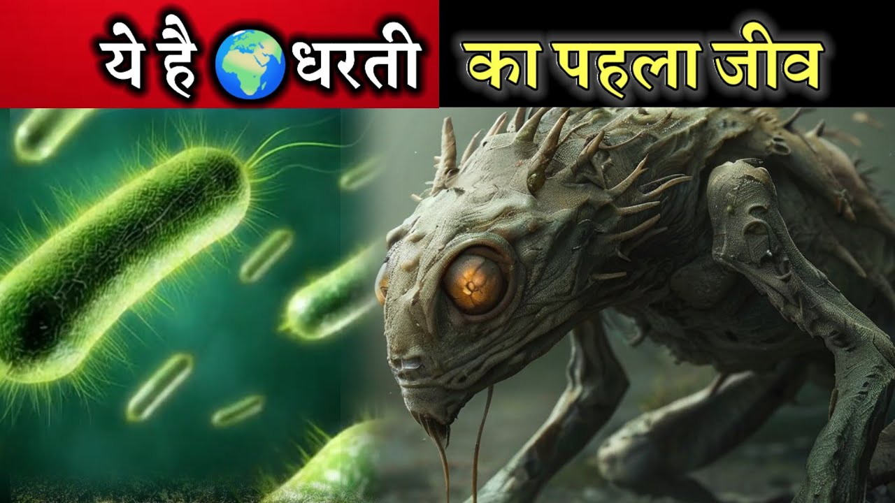 How One Tiny Creature Changed the Earth Forever||This is the first ...