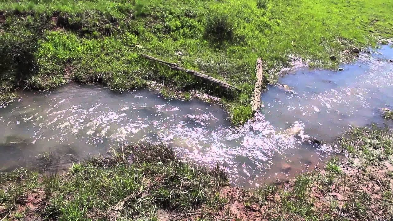 Wichita State University Geology Field Camp - Overview of Camp Life ...