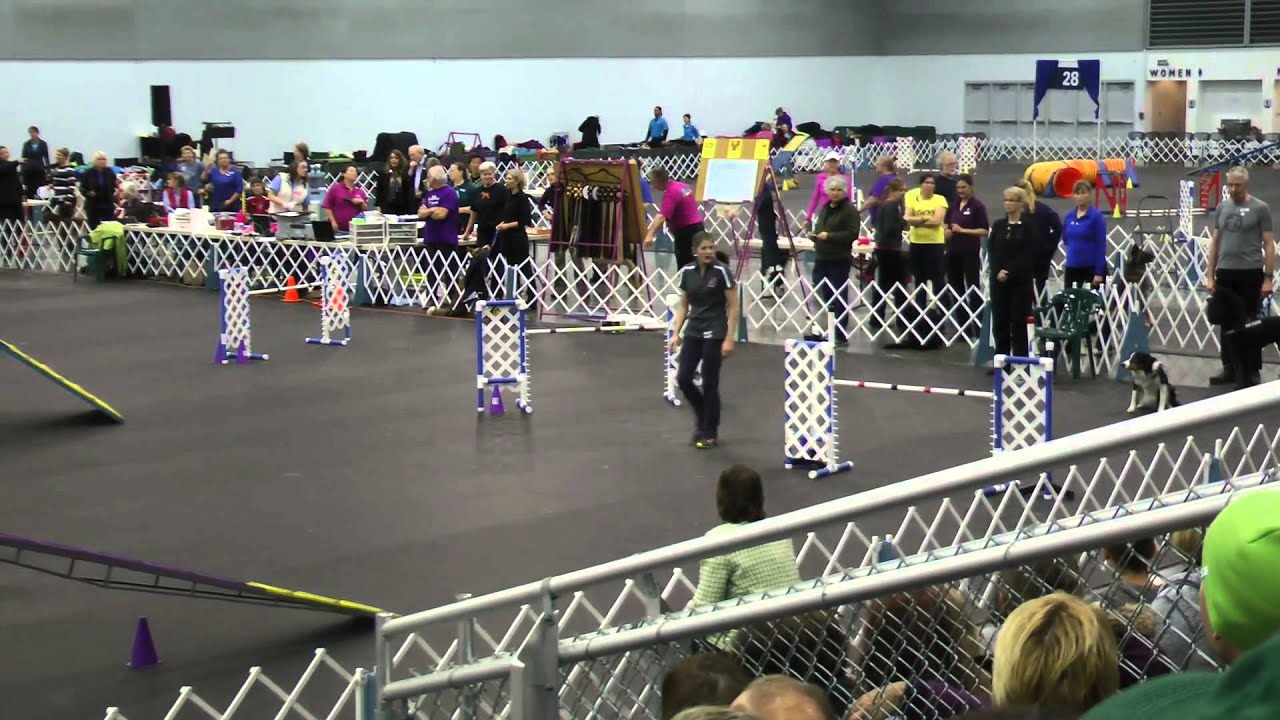 Hops's Agility, ISC Standard - YouTube