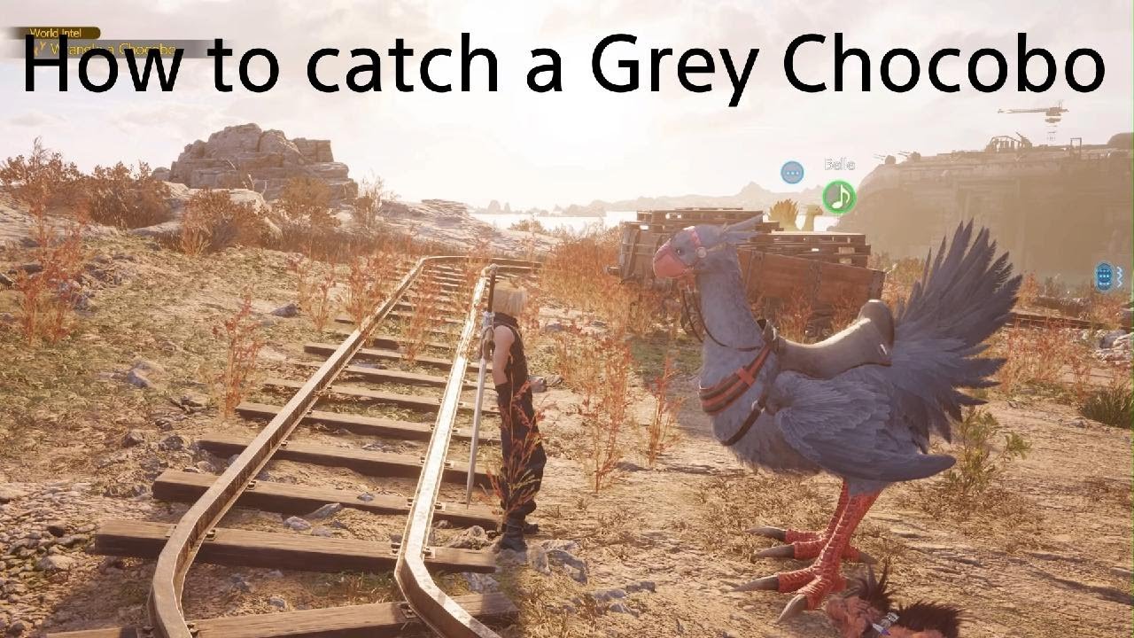 (How to catch a Grey Chocobo) FINAL FANTASY VII REBIRTH - YouTube