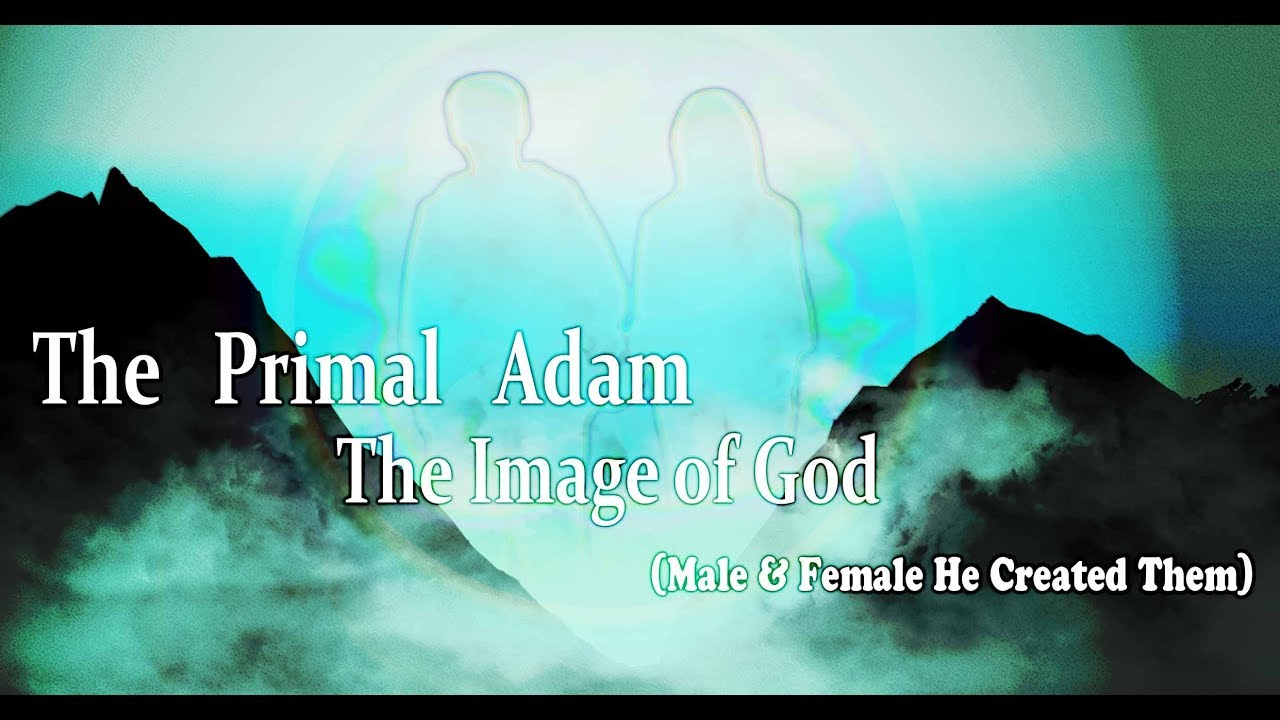 God's Image: The Primal Adam (Male & Female He Created Them) Did they ...