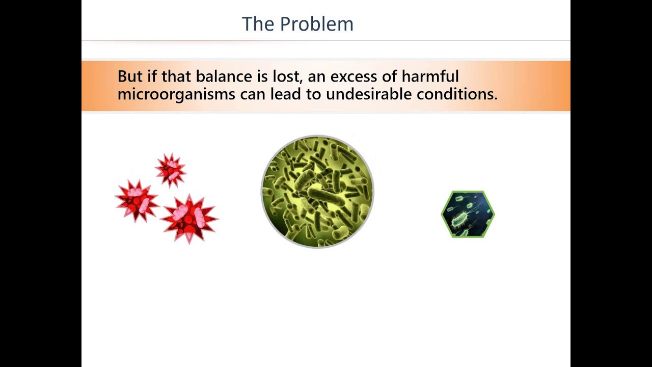 What is SCD Probiotics - YouTube