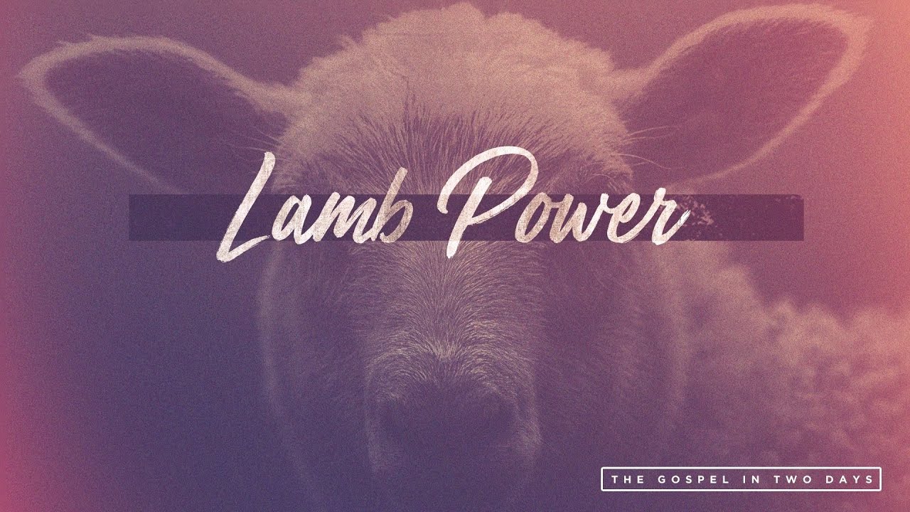 Lamb Power - YouTube