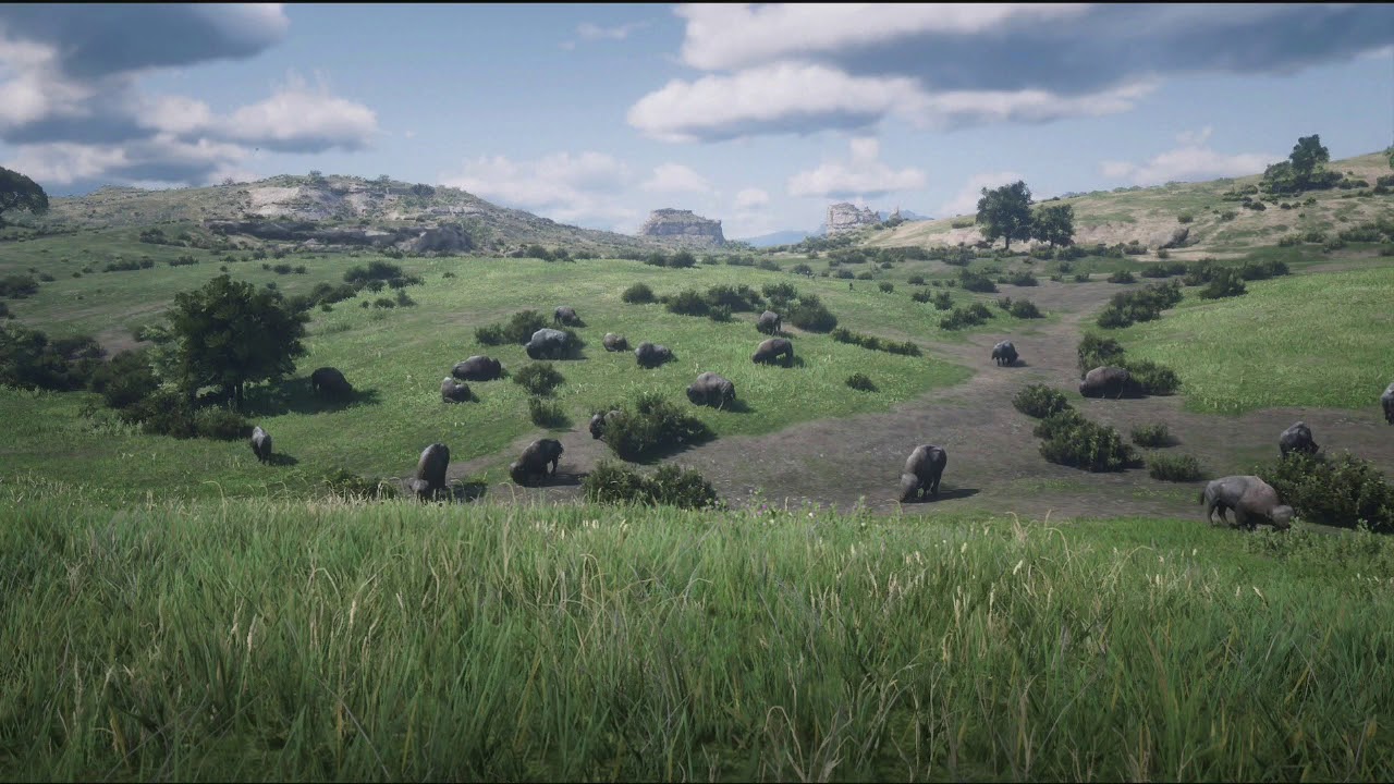 Rdr2 Ambient Music 5 The Heartlands - YouTube Music