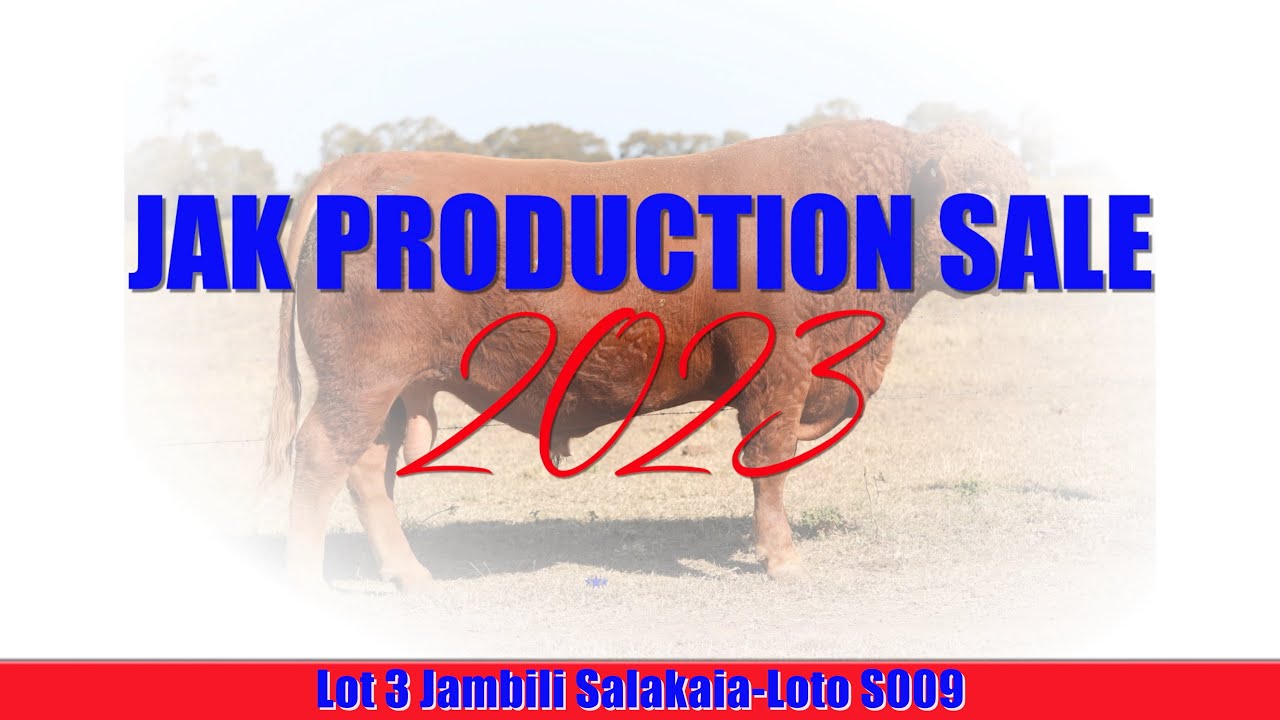 Lot 3 Jambili Salakaia Loto S009 - YouTube