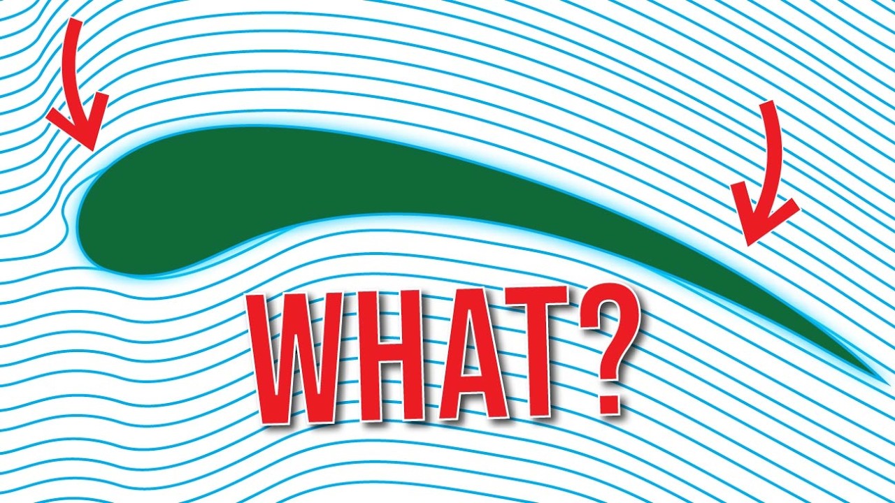 How do Wings Work? The Science Behind Bird Flight: How Wings Defy ...