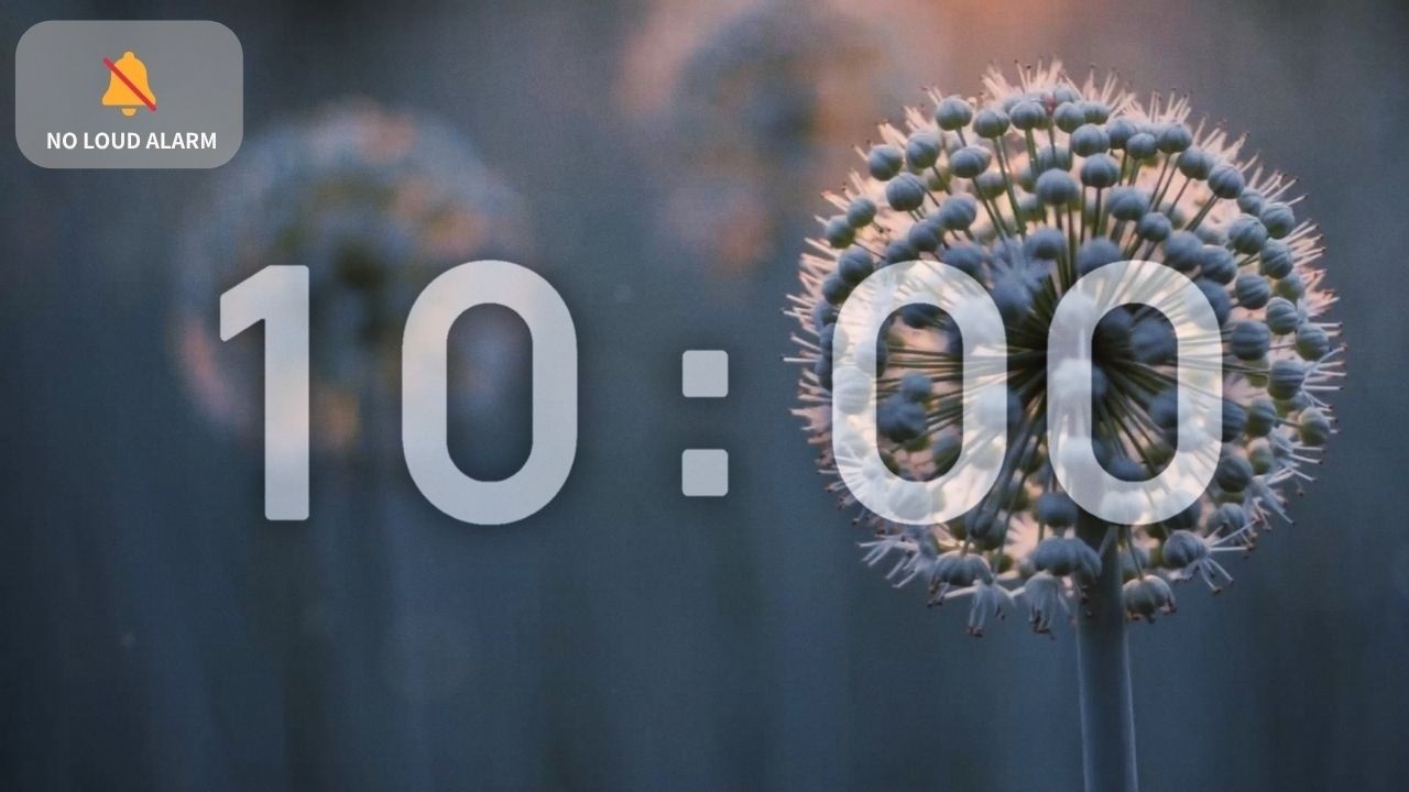 10 Minute Classroom Timer with Music | Calm Nature Focus Time — NO LOUD ...