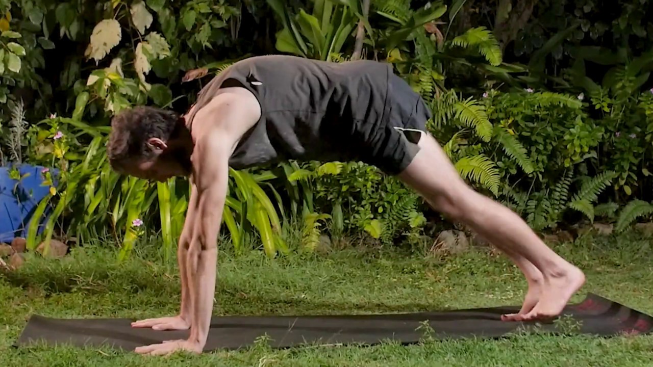 15 Minute Morning Yoga Beginners Routine - YouTube