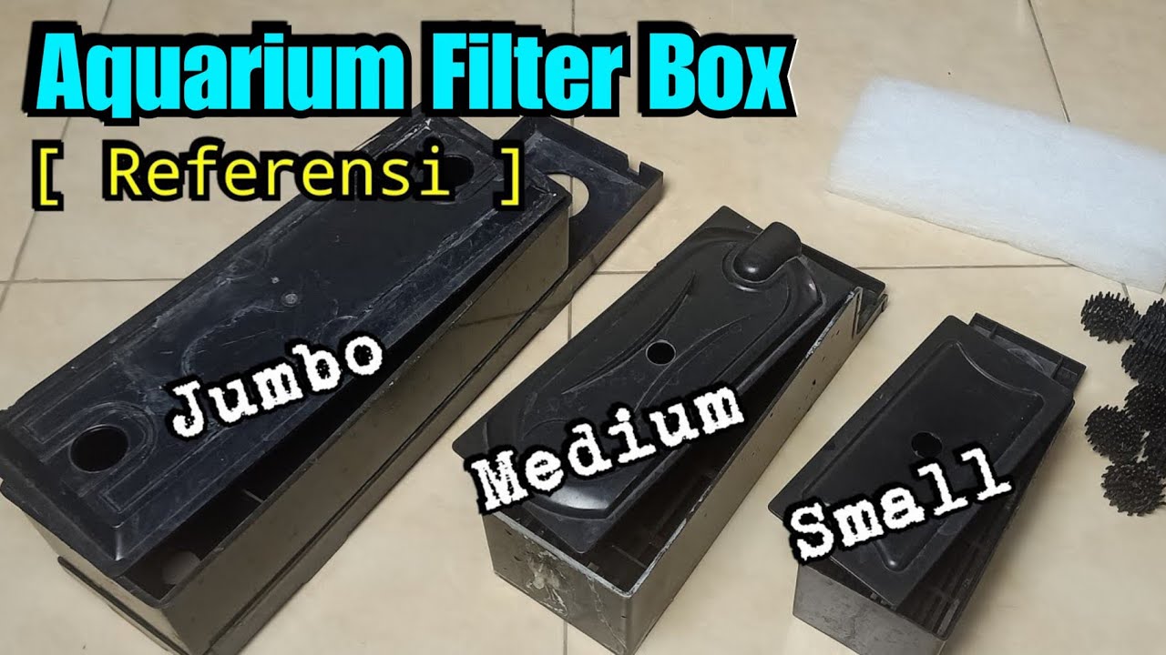 Box Filter Aquarium Jumbo, Sedang, dan Kecil (Referensi) - YouTube