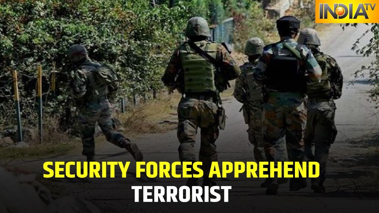 Security Forces Arrest Terrorist From Shopian - YouTube