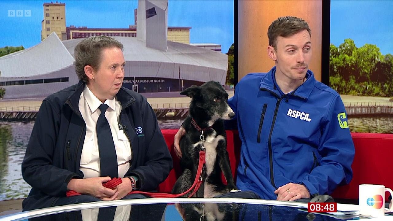 Sonia Hulme, Ryan King (RSPCA), Cassie The Dog AKA Wonderpants On BBC ...