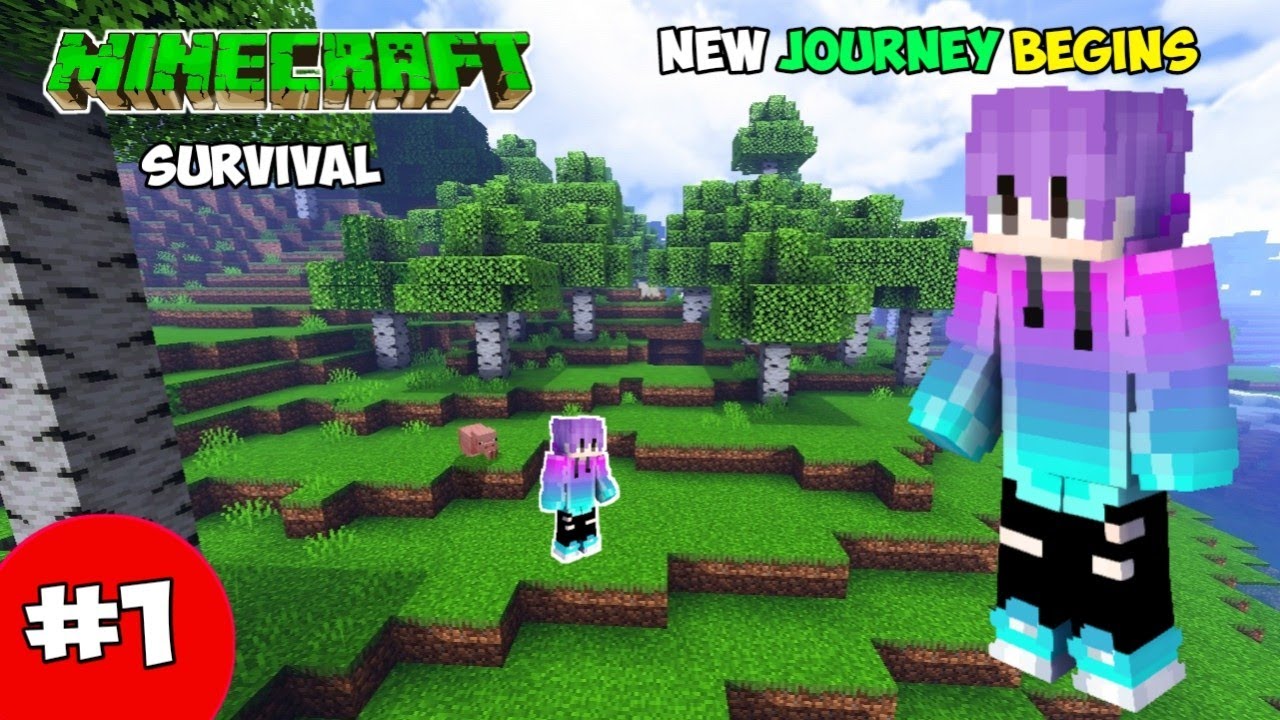 Minecraft: The Epic Survival Journey - In Hindi - YouTube