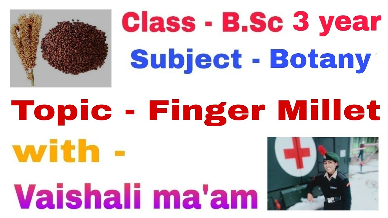 FINGER MILLET ( Botanical name,Local name, Family, Plant part used ...