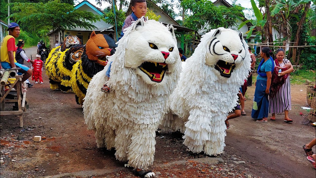 KIRAB CAN MACANGAN SINGO MANGALA AND DRUMBAND MAONG REMAS IN MUK LEBUN ...