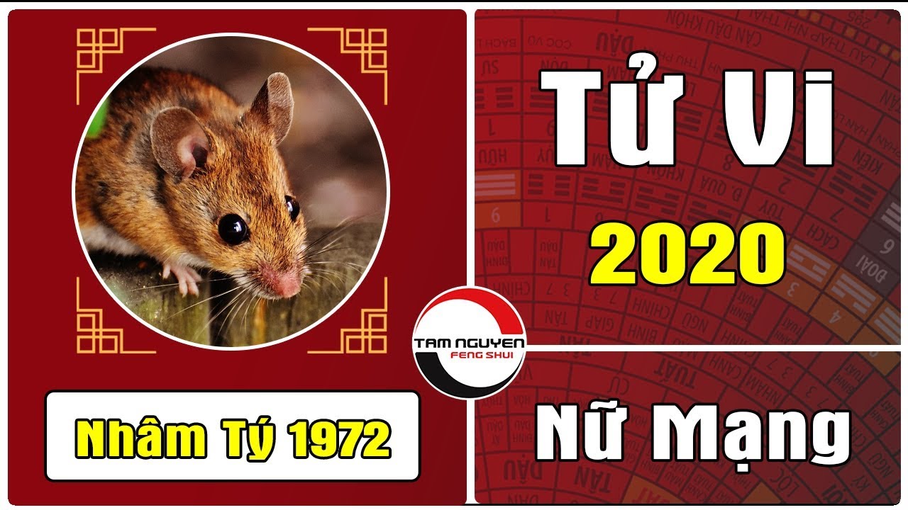 Xem Tử Vi 2020 Nữ Mạng Tuổi Nhâm Tý 1972 Đột Nhiên Giàu Ú Ụ Nếu Biết ...