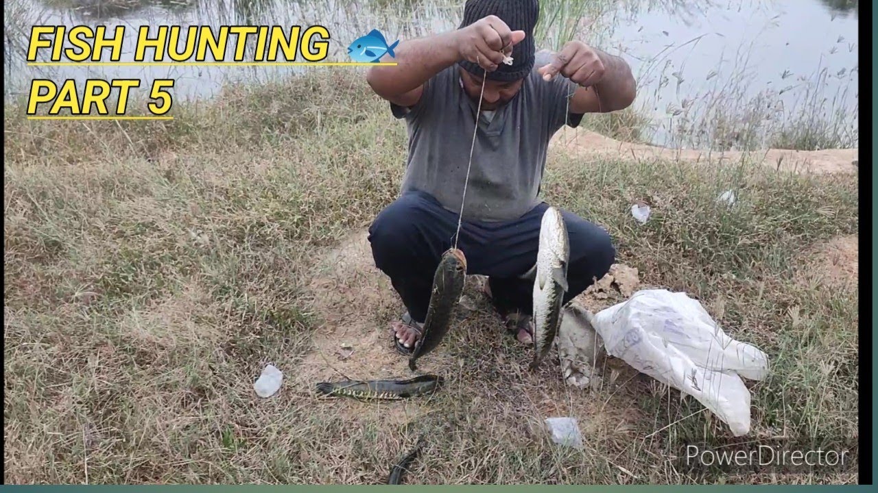 Fish hunting part 5 hindi vlog daily routine vlog - YouTube