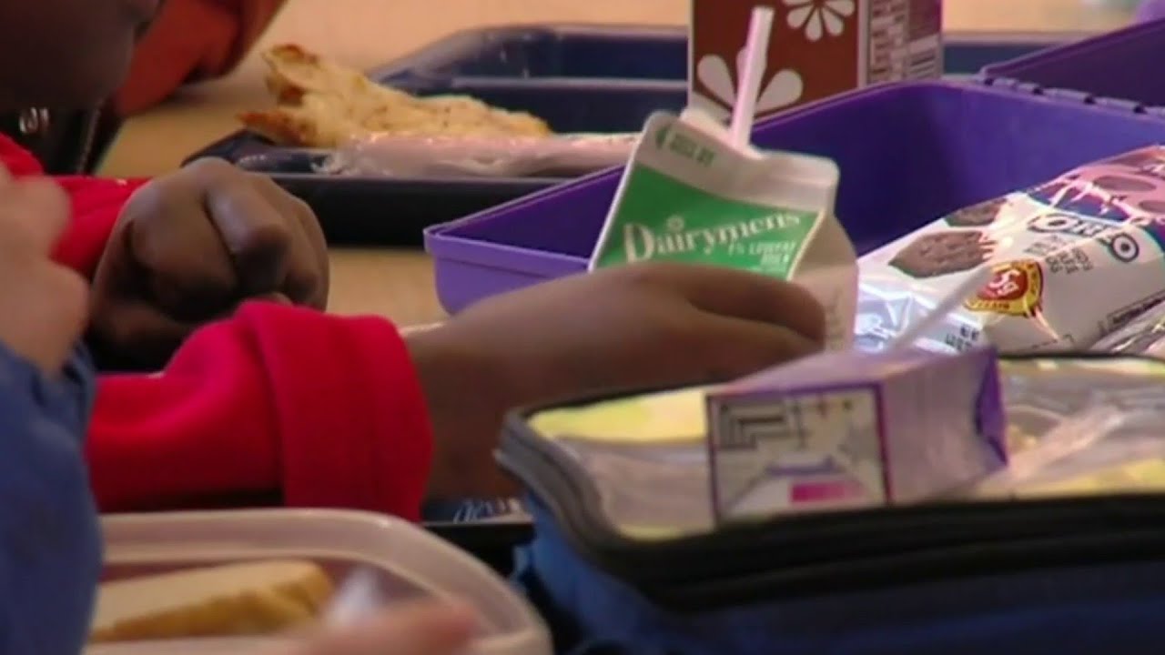 Child obesity and changing eating patterns - YouTube