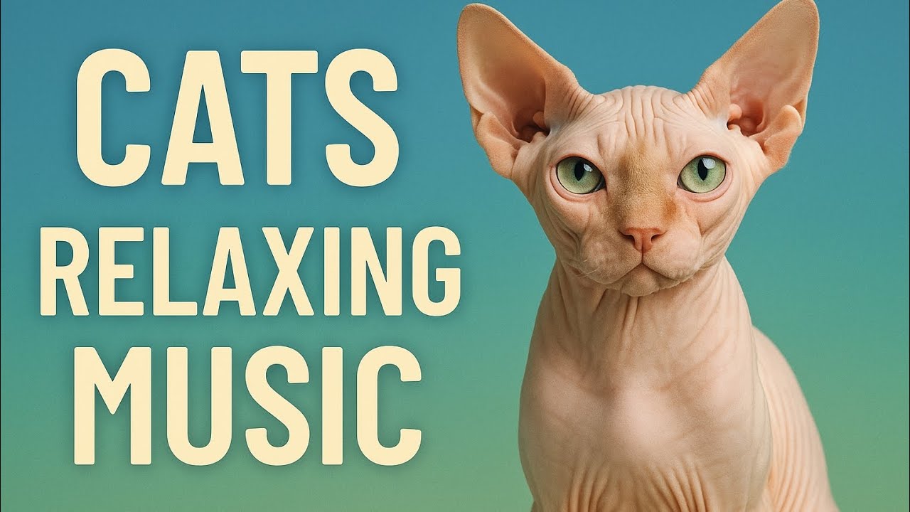 Relaxing Cat Video with Calming Music | Peaceful Moments with Cute Cats ...