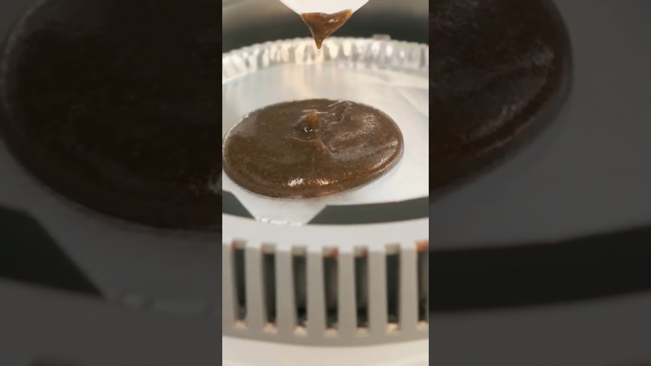 HOW TO HATCH DECAPSULATED ARTEMIA EMBRYO - YouTube