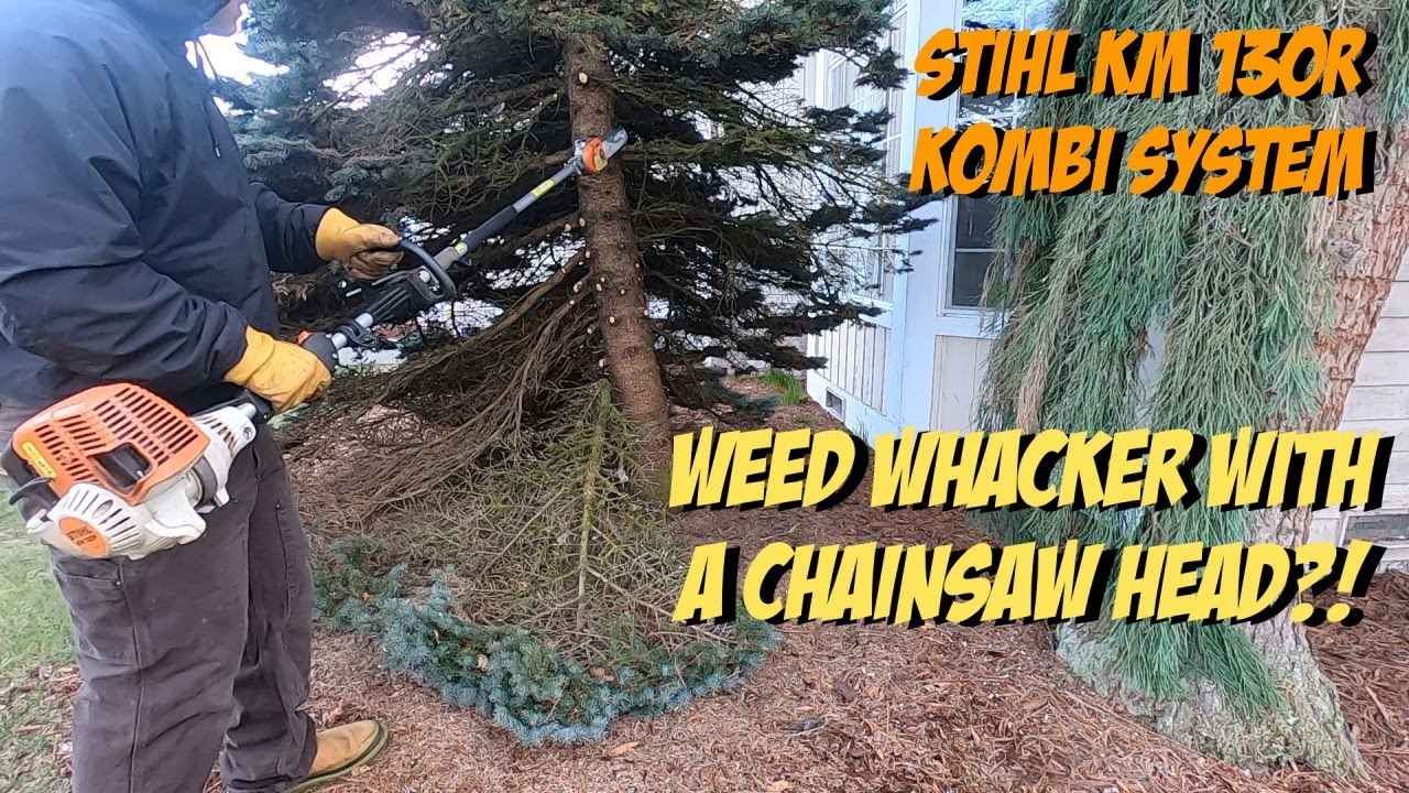 Trimming Blue Spruce Tree| Stihl KM 130R-131R with HT-KM Chainsaw # ...