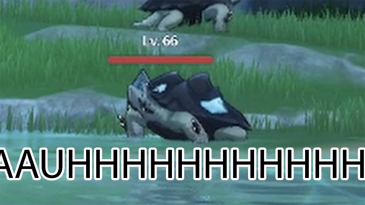 𝓯𝓻𝓮𝓪𝓴𝔂 turtles | WuWa - YouTube