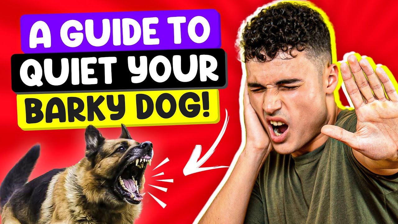 Hush Pup: A Guide to Quiet Your Barky Dog - YouTube