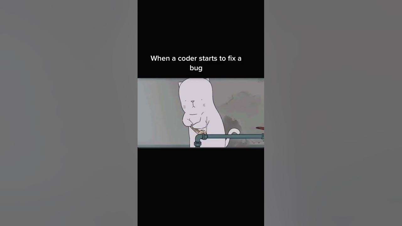 When A Coder Start To Fix A Bug 😢coding Webdesign Codinglife Codingmotivation Viral Coder
