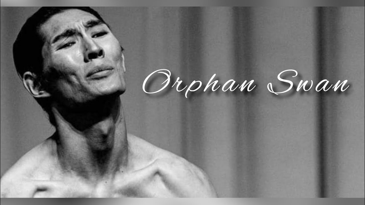 K.Sen-Sans Orphan Swan - YouTube