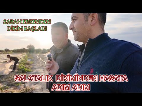 SALATALIK DİKİMİ YAPIYORUZ BEREKETLİ OLSUN 🥒 #salatalık #cucumber #farmer 