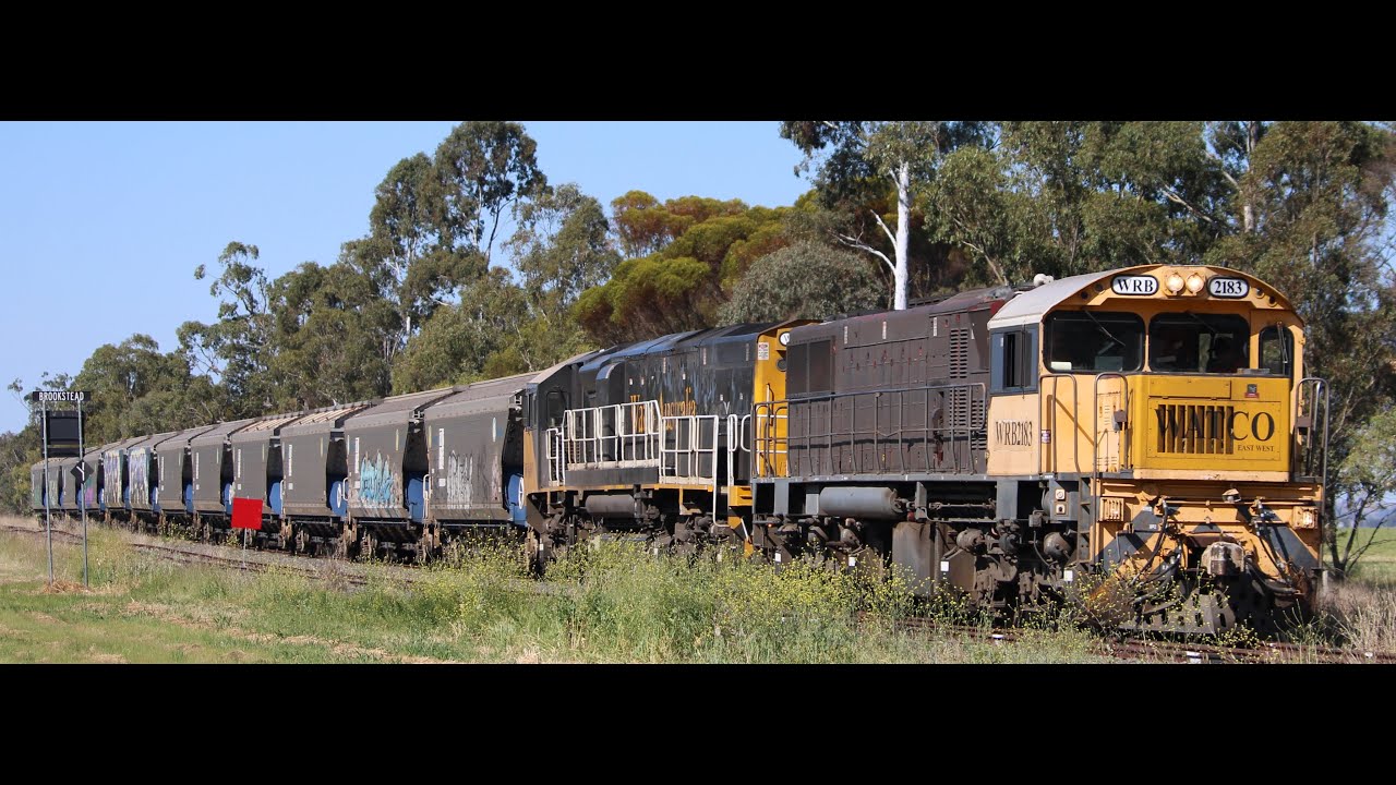 Watco Grain train Between Wyreema to Brookstead Return - YouTube