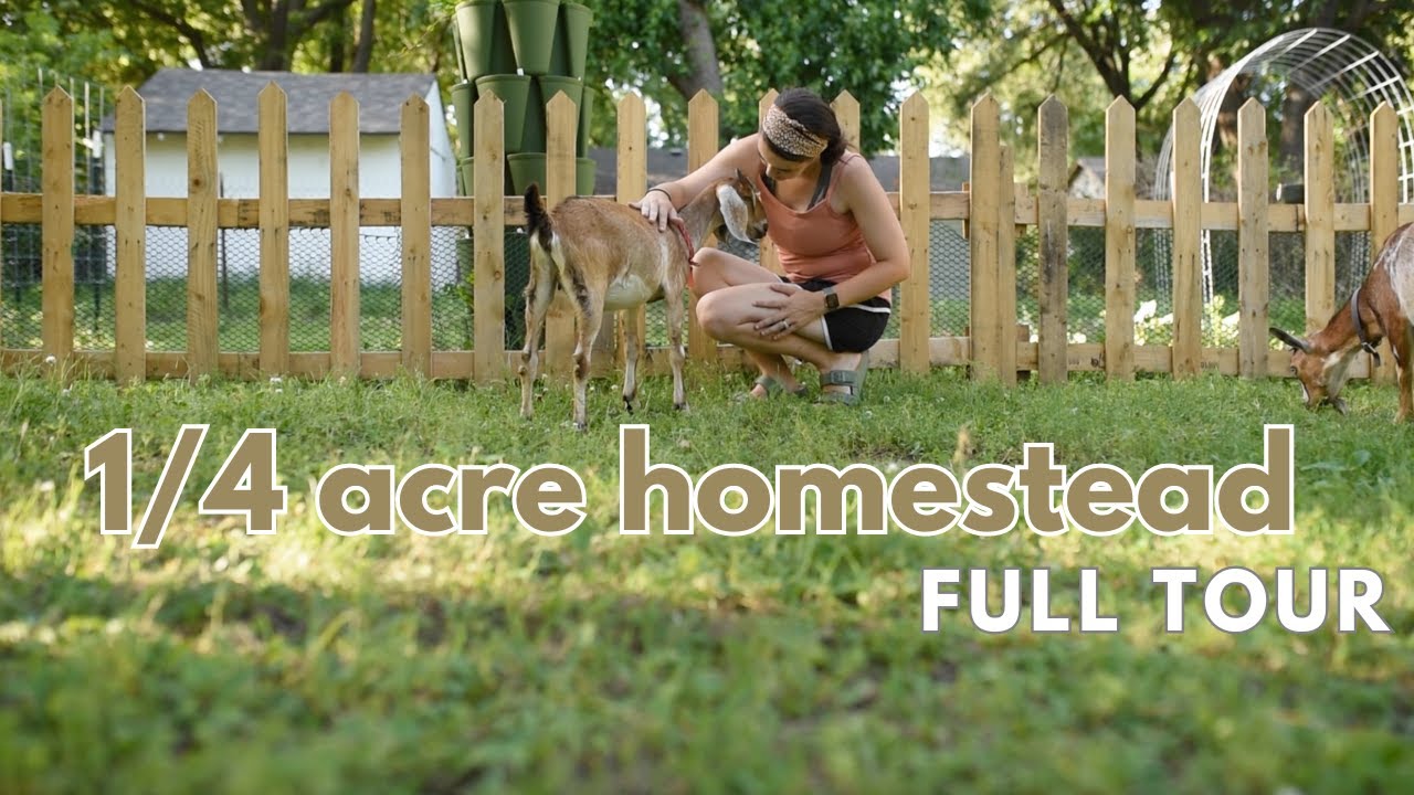 Quarter Acre Homestead Tour | Beginner Backyard Farm - YouTube