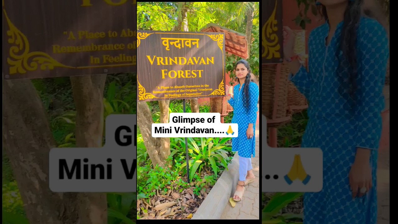 Mini vrindavan....🙏 - YouTube