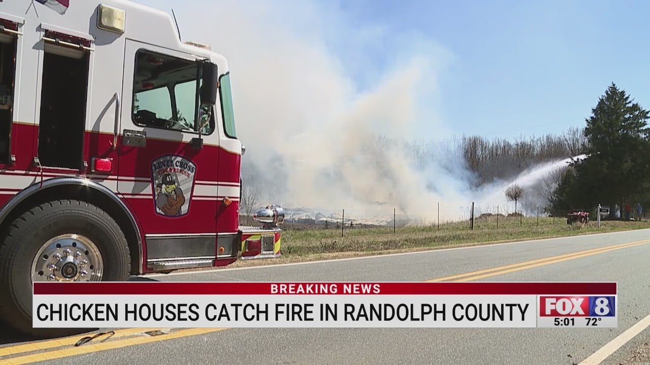 Chicken houses catch fire in Randolph County - YouTube