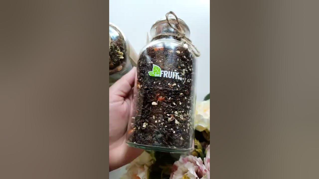 СОКОЧАЙ BEFRUITBE - YouTube
